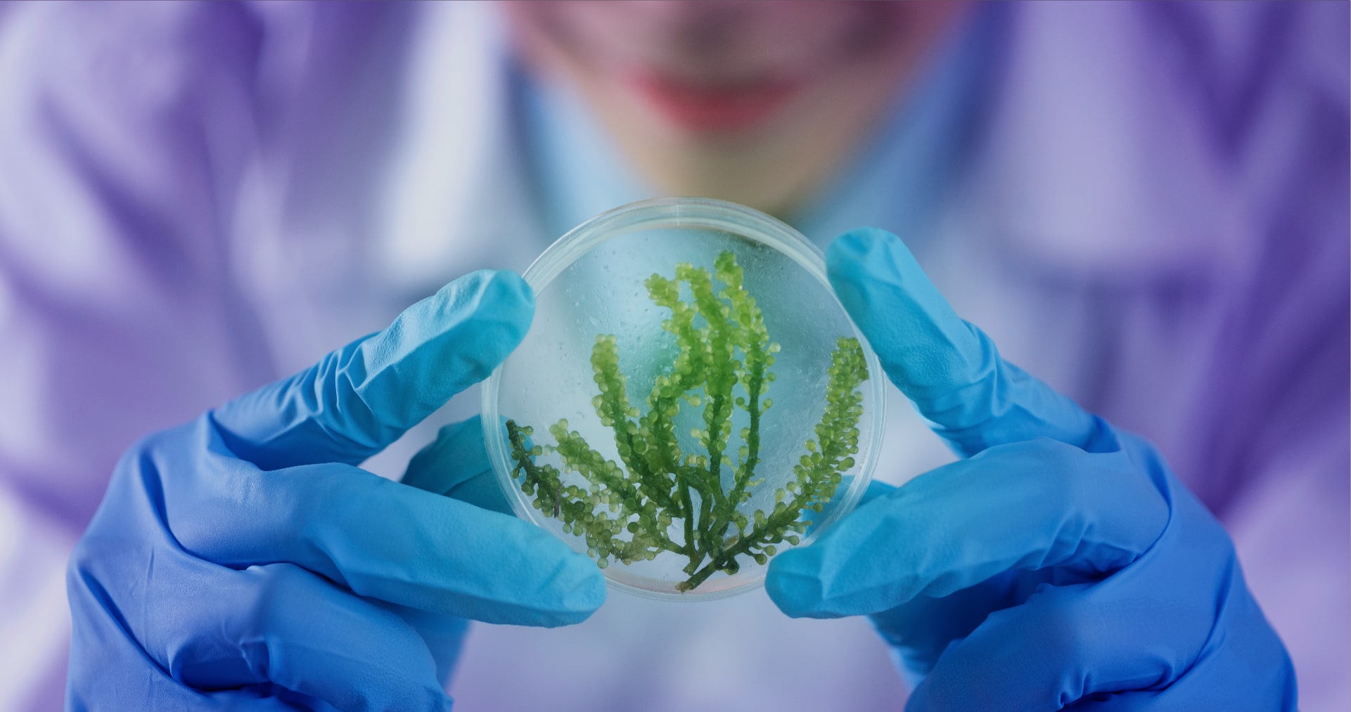 Βιοτεχνολογία: Τι είναι και πώς αλλάζει ήδη το μέλλον μας